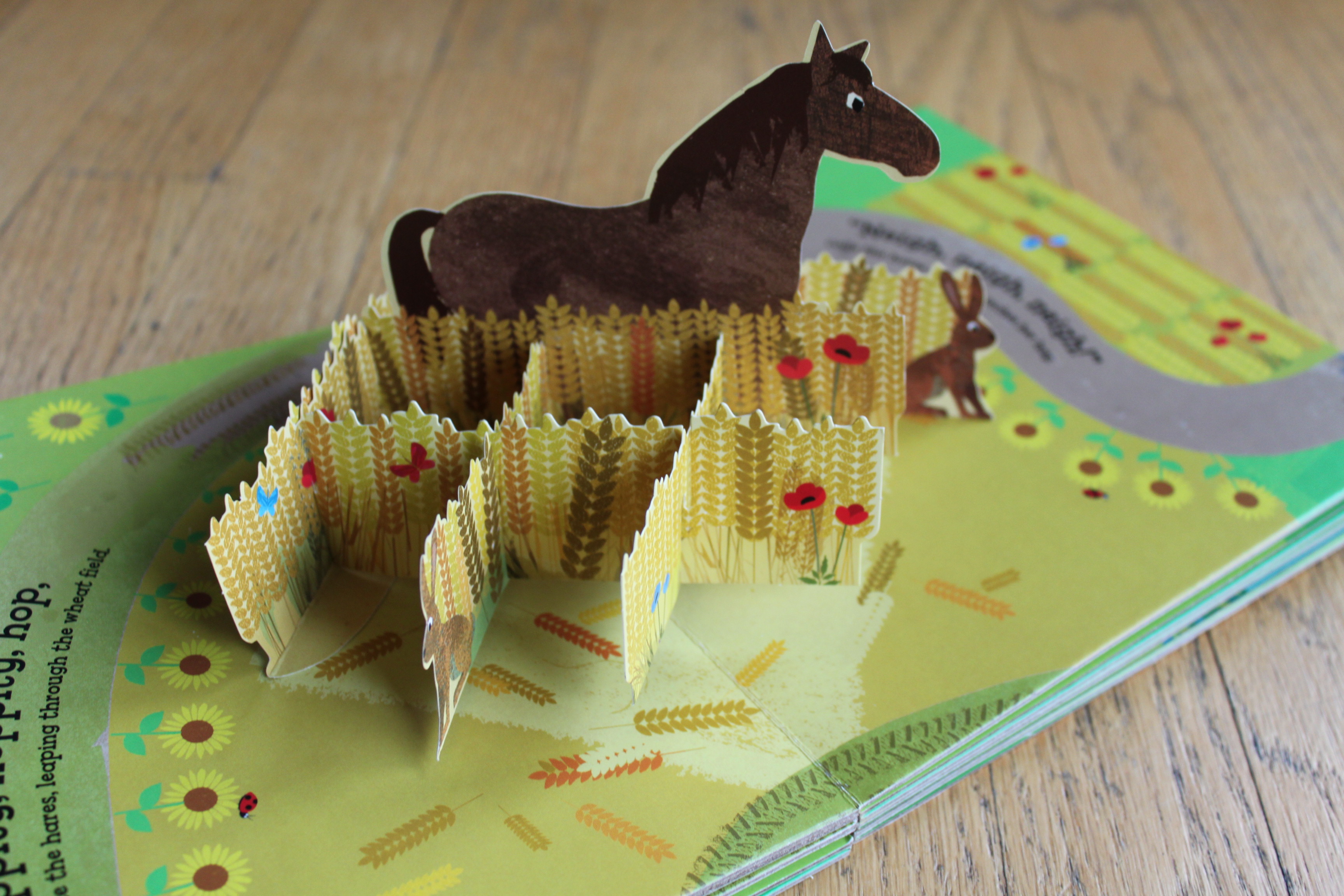 Corina Fletcher und Britta Teckentrup – Playbook Farm – Papillionis liest