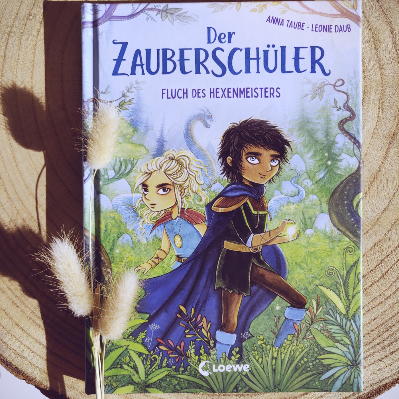Anna Taube – Der Zauberschüler – Papillionis liest