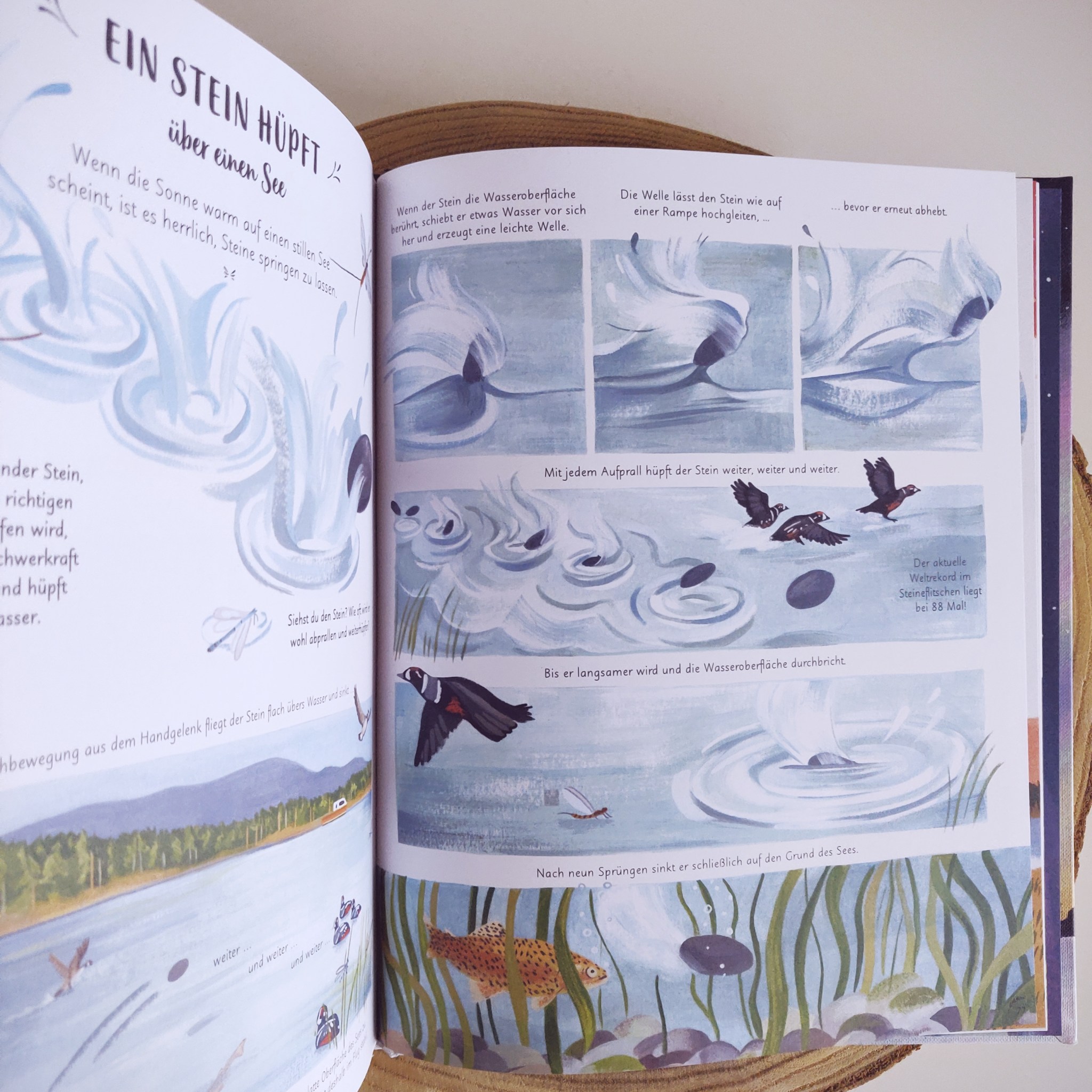 Carl Wilkinson und Grace Helmer – Wunder der Natur – Papillionis liest