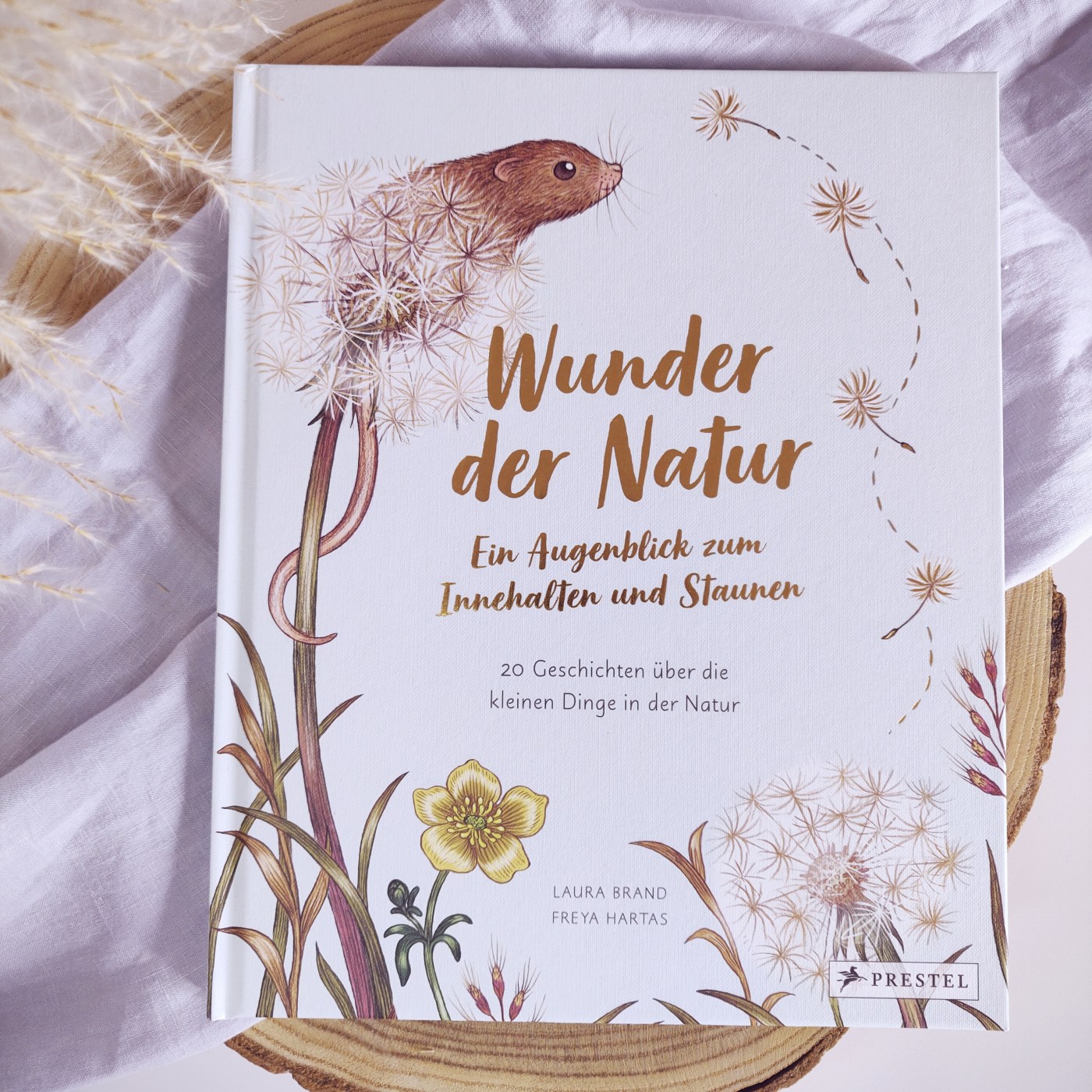 Laura Brand und Freya Hartas – Wunder der Natur – Papillionis liest