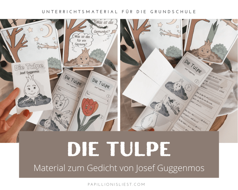 „Die Tulpe“ – Unterrichtsmaterial zum Gedicht von Josef Guggenmos ...
